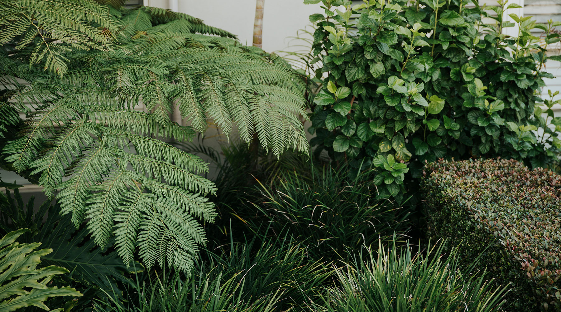Great Garden Advice - The Greenscape Collective